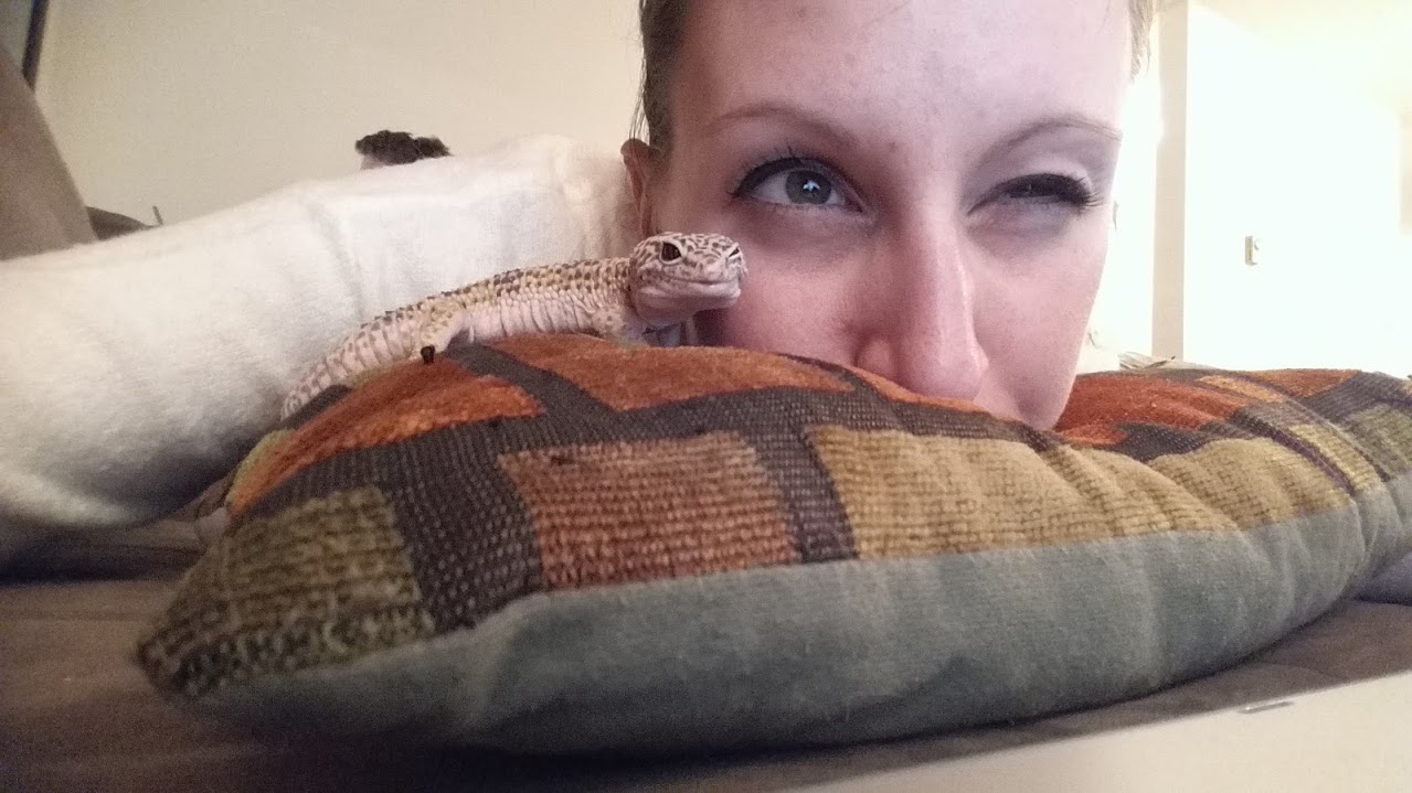 Cuddle Buddy | Gecko Forums